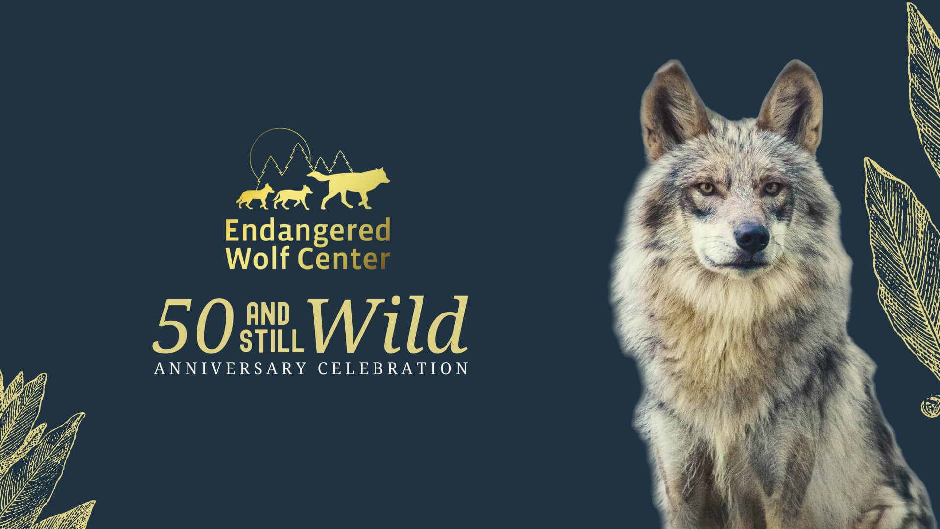 Home - Endangered Wolf Center