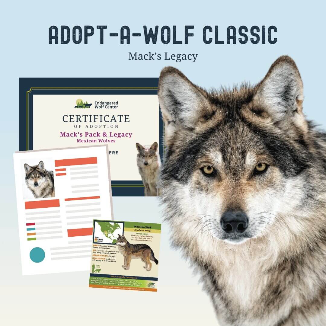 Mack's Pack Adoption | Endangered Wolf Center