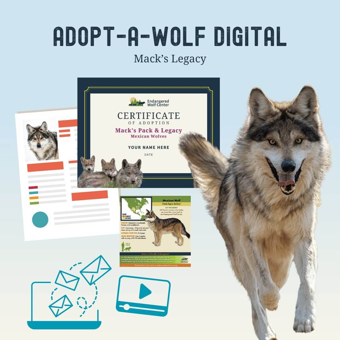 Mack's Pack Adoption | Endangered Wolf Center