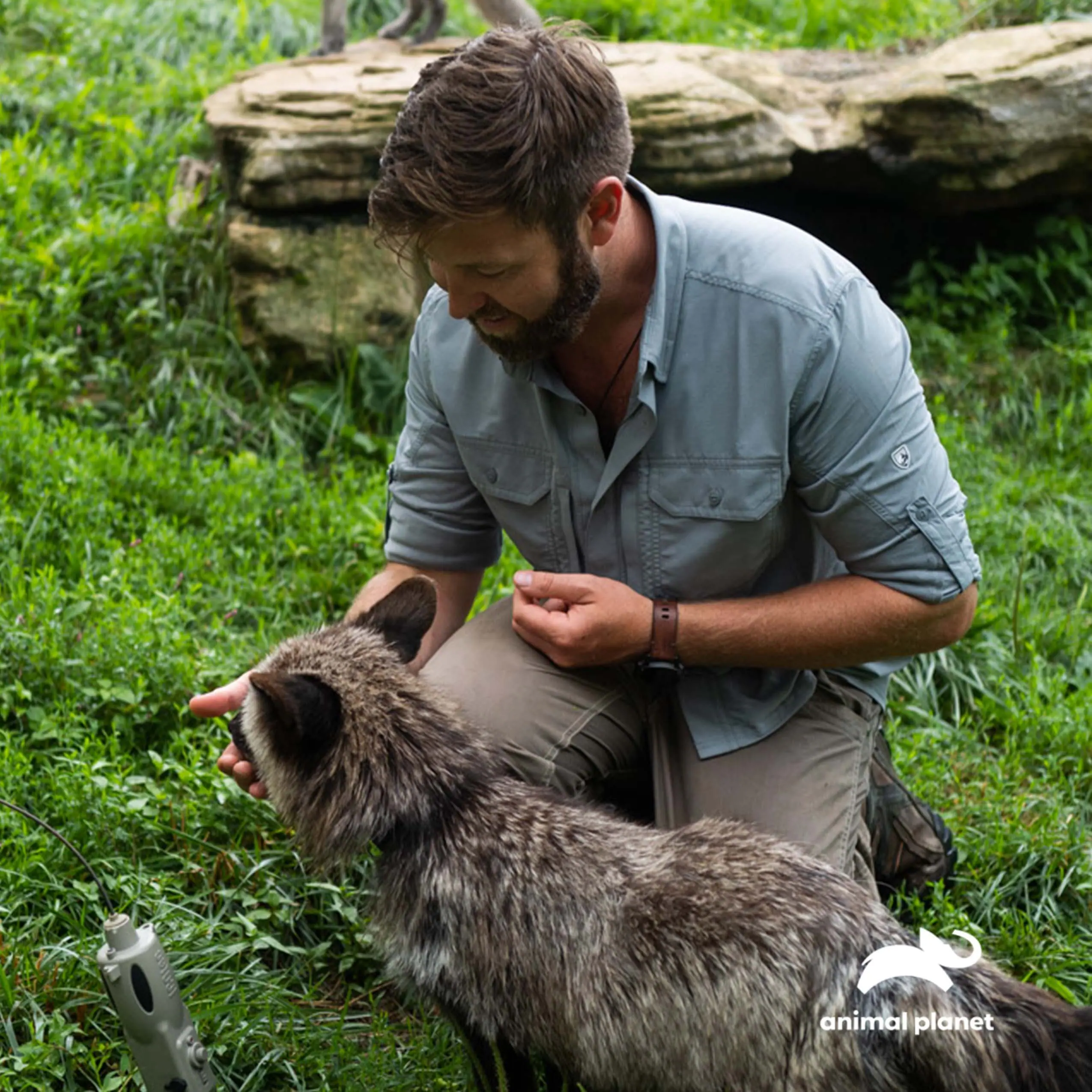 Ozark Howler Sightings