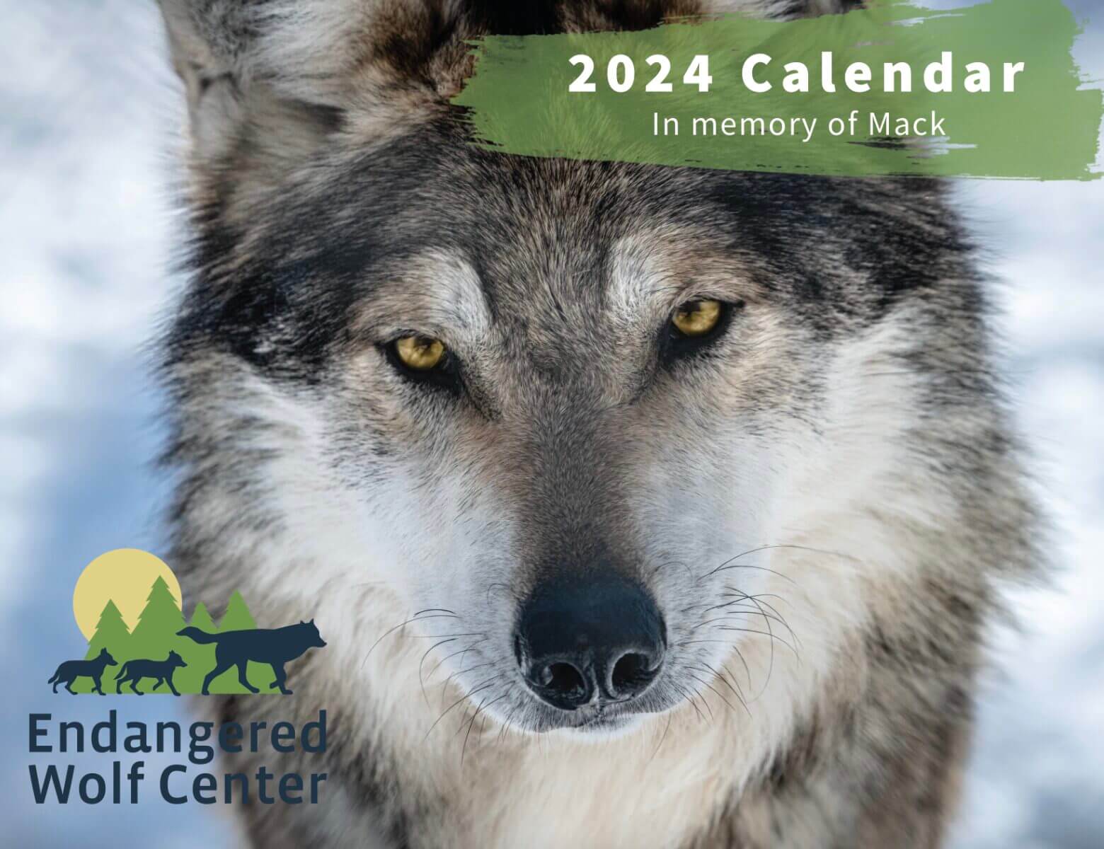 Membership | Endangered Wolf Center
