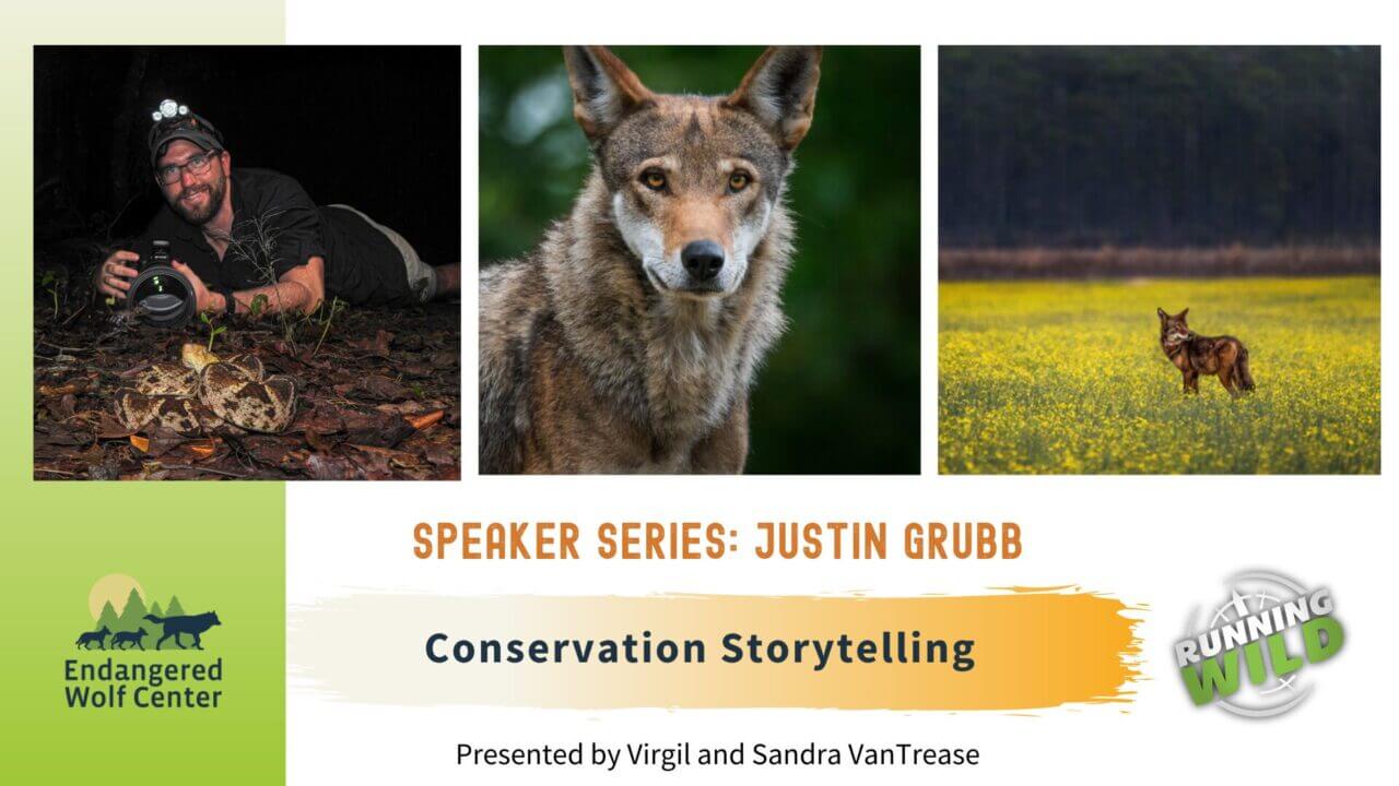 Home - Endangered Wolf Center