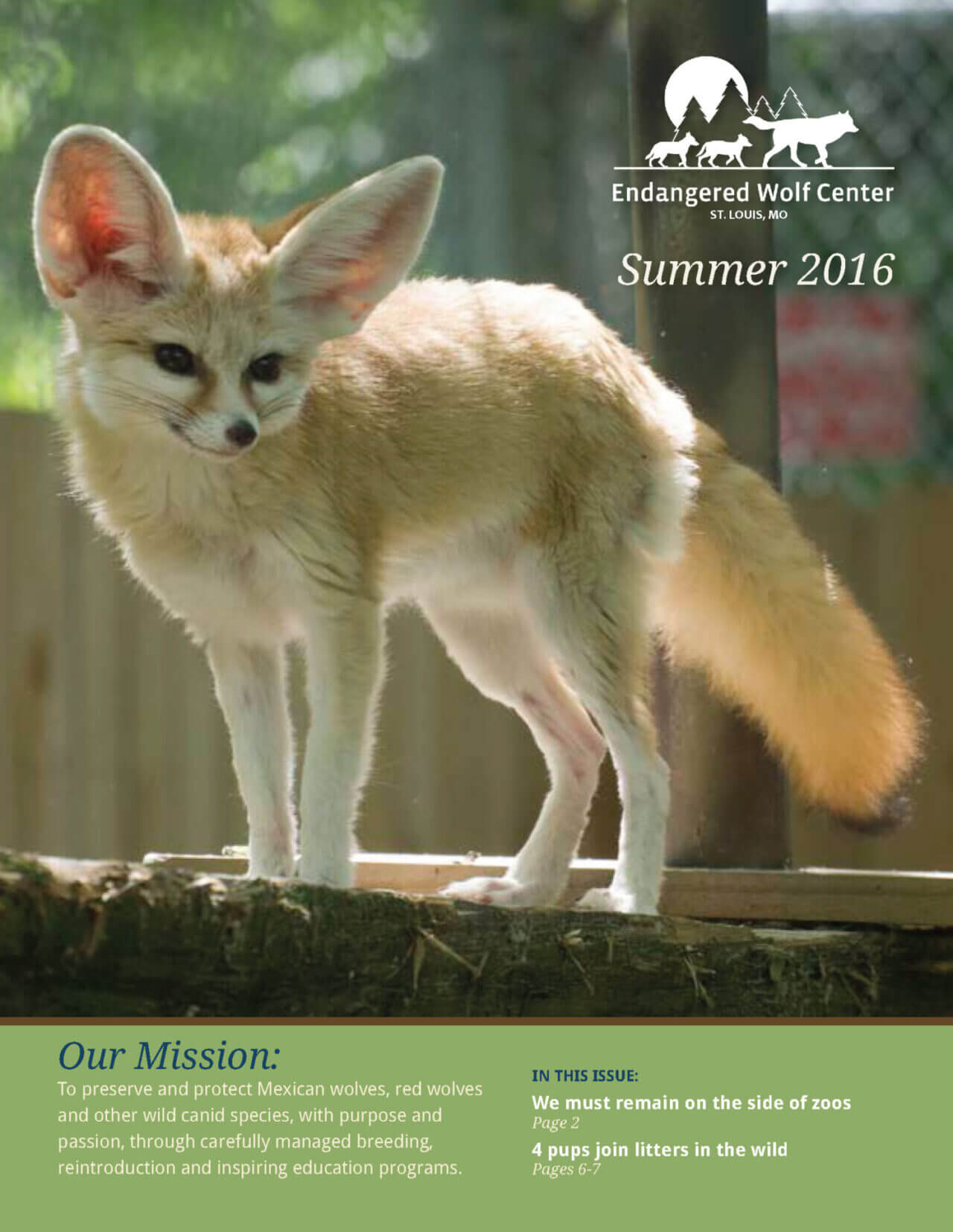 Magazines | Endangered Wolf Center